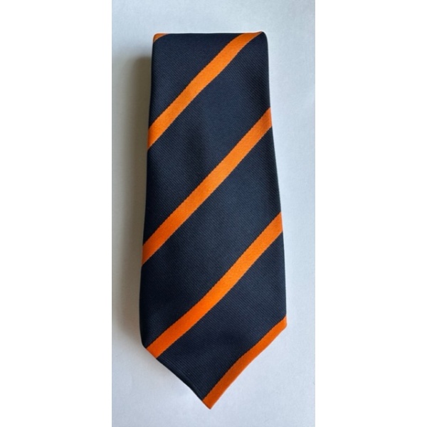 YR11 RAVENSBOURNE TIE - Bromley Schoolwear